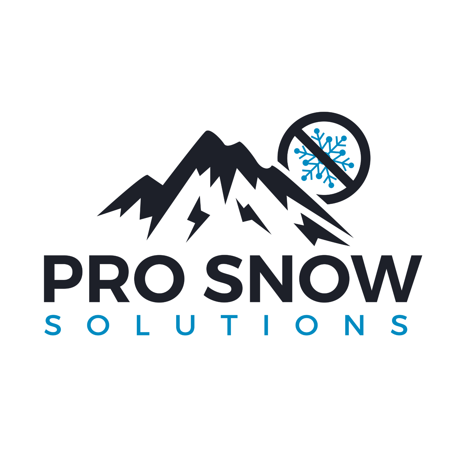 Snow Removal in the Fraser Valley: Ensuring Safe and Efficient Winter ...